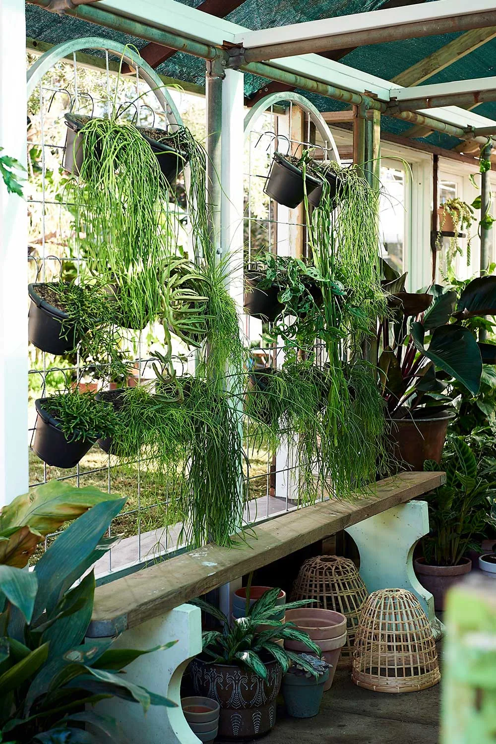 How to make greenhouse interiors beautiful - Better Homes & Gardens ...