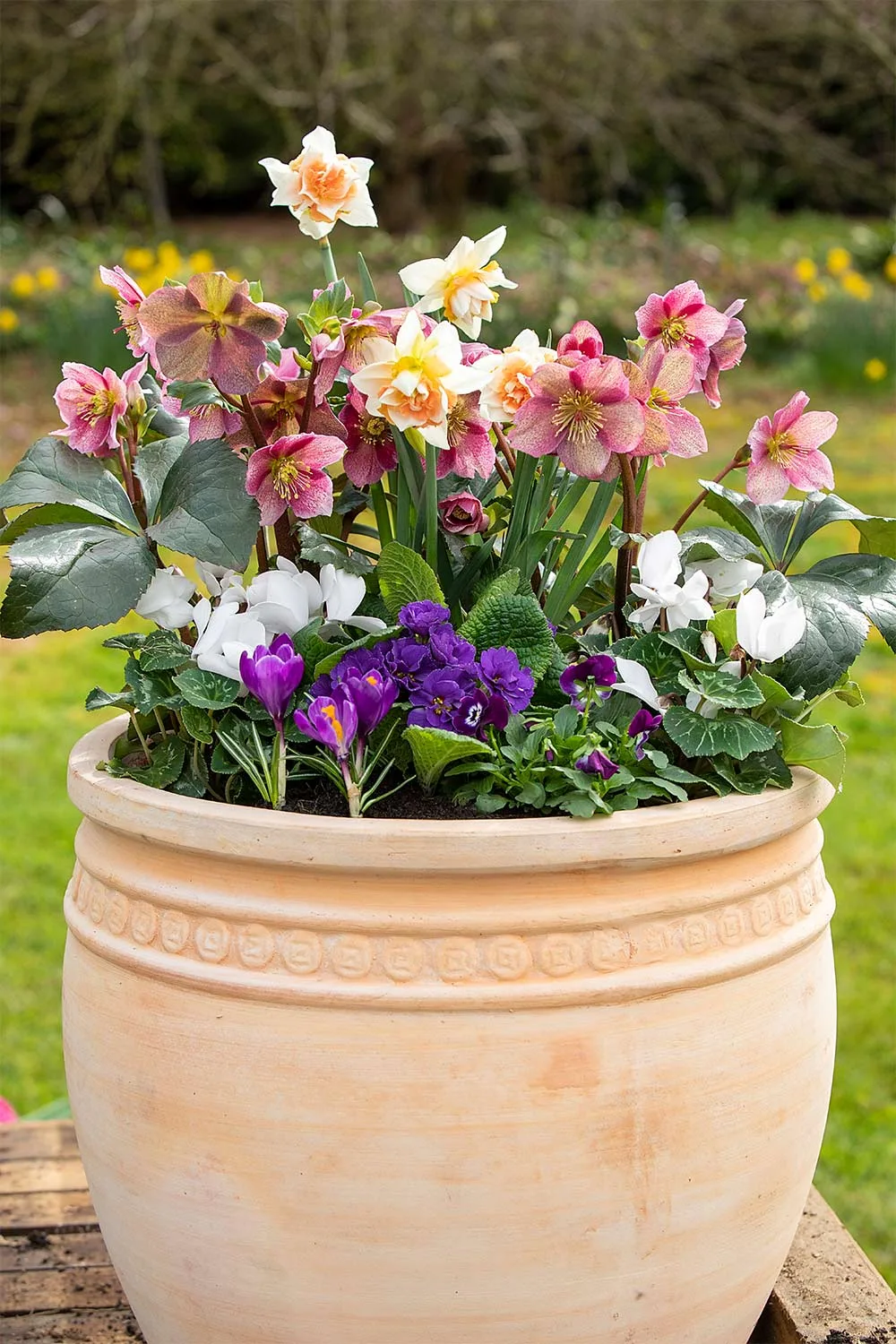 How to make beautiful flower pots at home