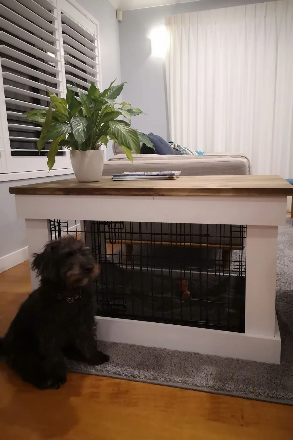 Reader project: A coastal-style, dog-crate that can be used as a side ...