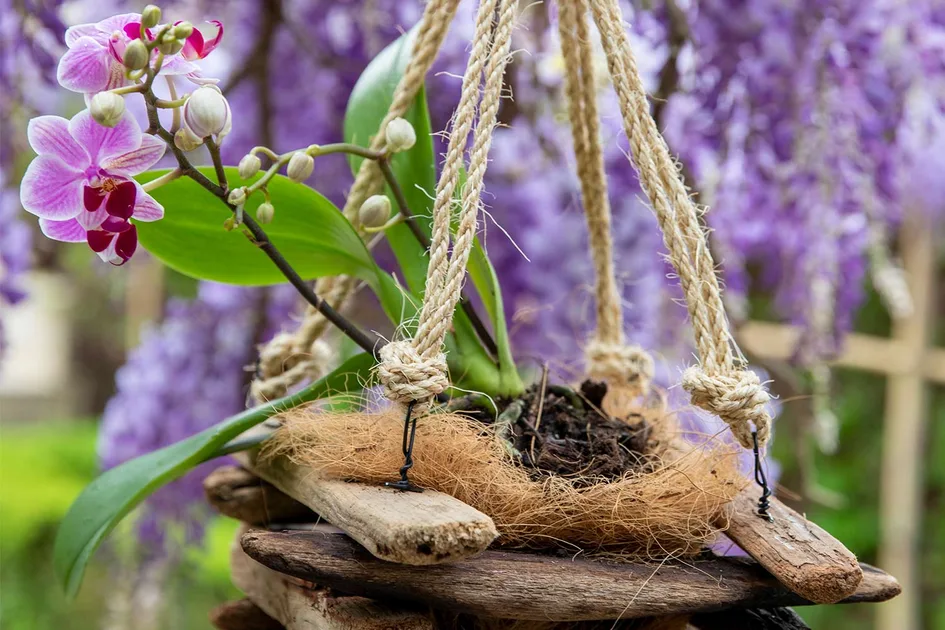 How to use sticks to create 3 gorgeous garden projects | Better Homes ...