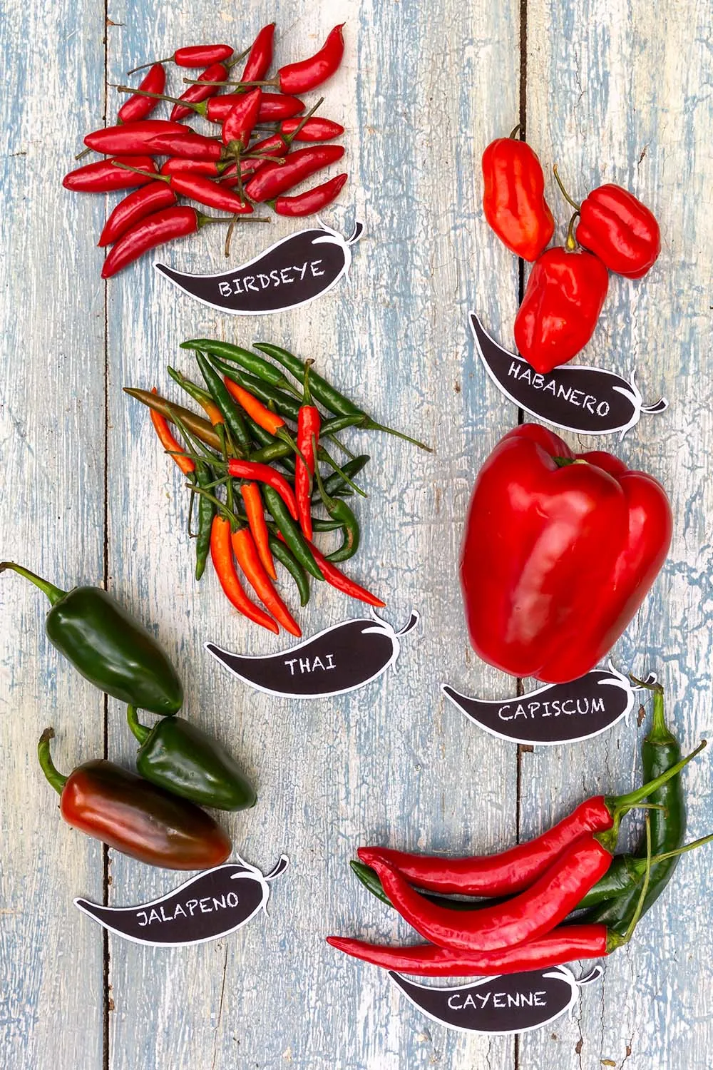 How to grow chillies | Better Homes & Gardens Australia