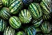How to grow watermelon with tips on planting and harvesting