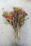 5 ways to dry fresh flowers | Better Homes & Gardens Australia