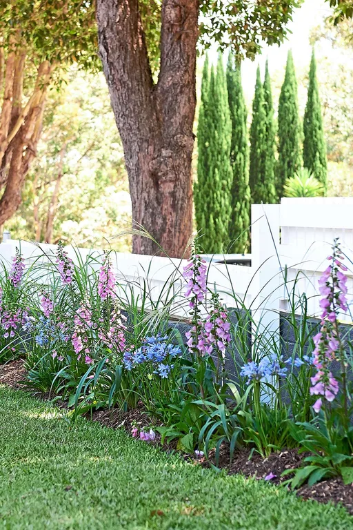 The best native alternatives to agapanthus