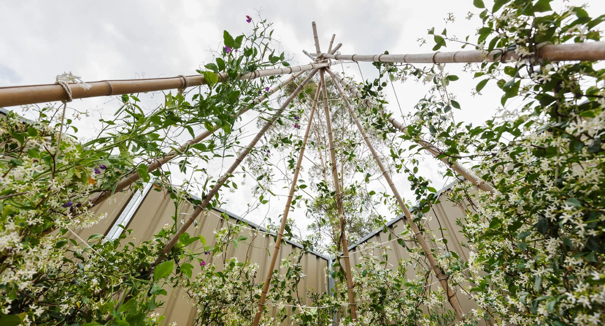 Build a teepee tent in the backyard for your kids