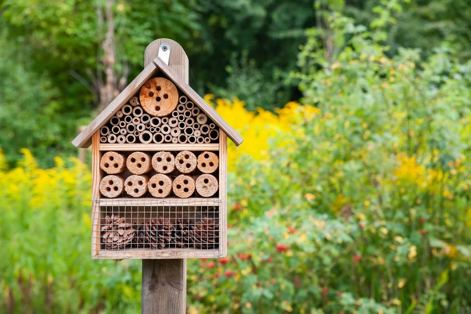 How to make a bug hotel to attract beneficial insects