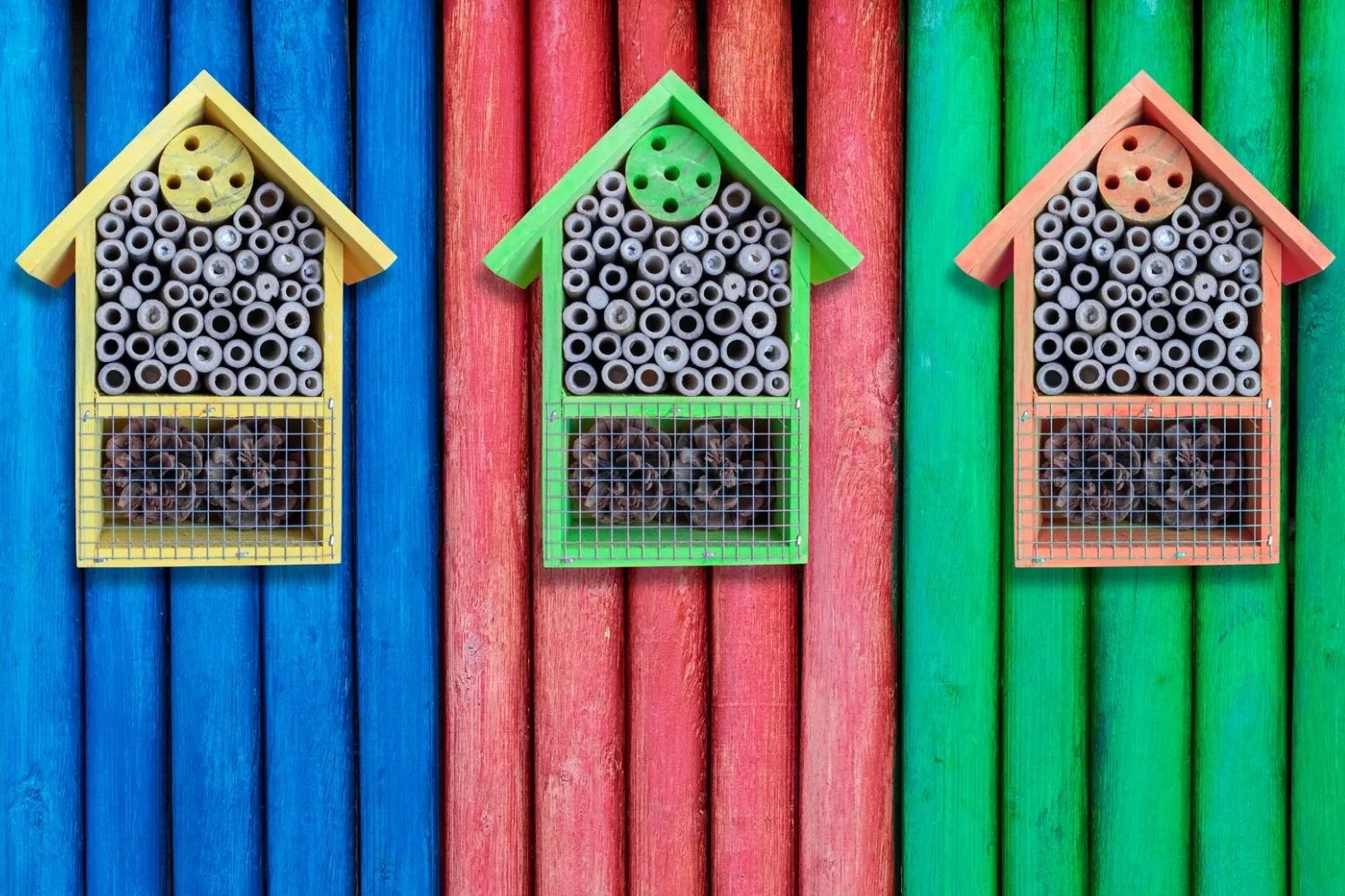 How to make a bug hotel to attract beneficial insects