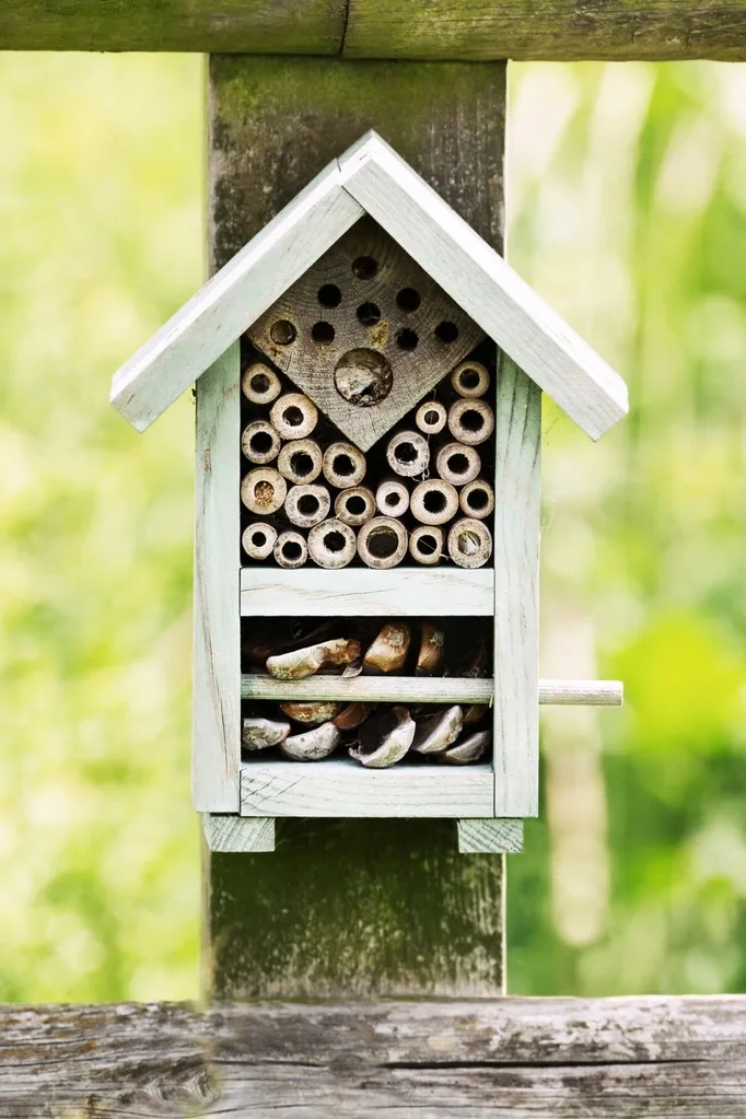 How to make a bug hotel to attract beneficial insects