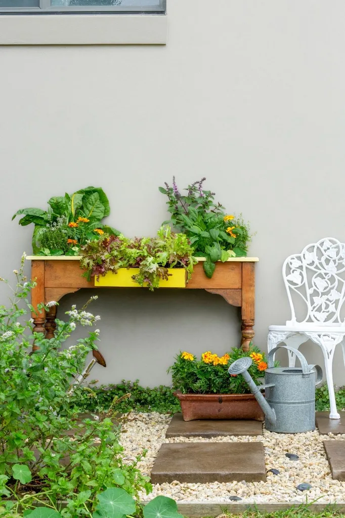 Melissa makes a lettuce table planter | Better Homes and Gardens