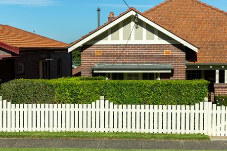 How to grow a hedge | Better Homes & Gardens Australia