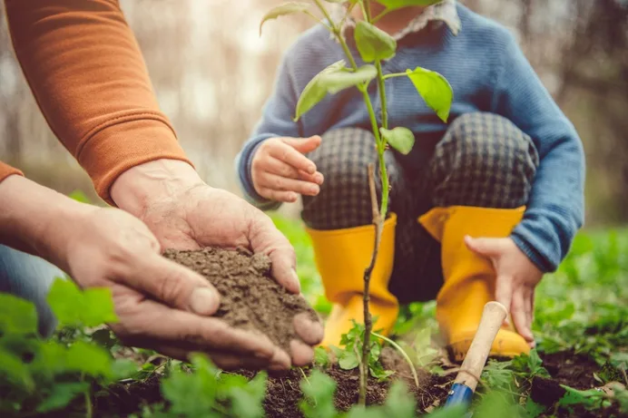 Tree Planting Guide: Tips for Successful Growth