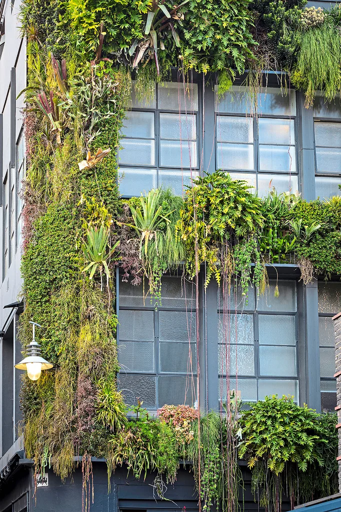 Melissa explores Melbourne’s green laneways