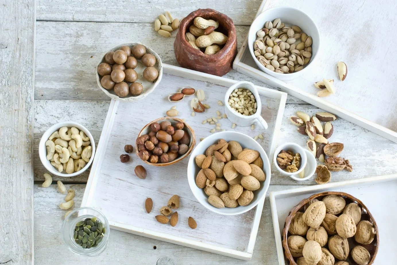 How to grow nuts in Australia | Better Homes & Gardens Australia