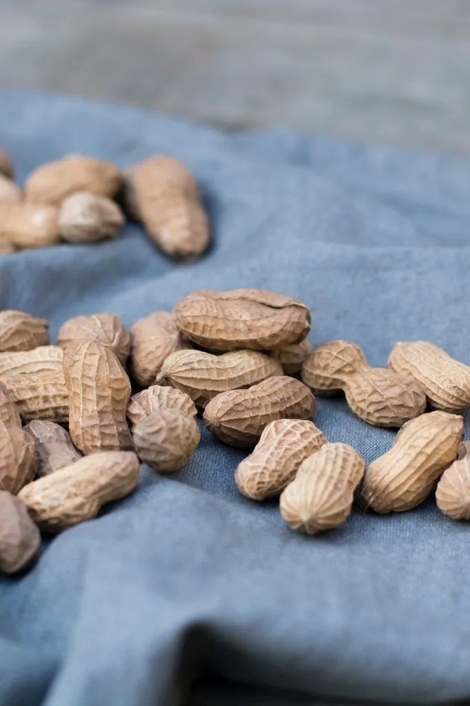 How to grow nuts in Australia | Better Homes & Gardens Australia