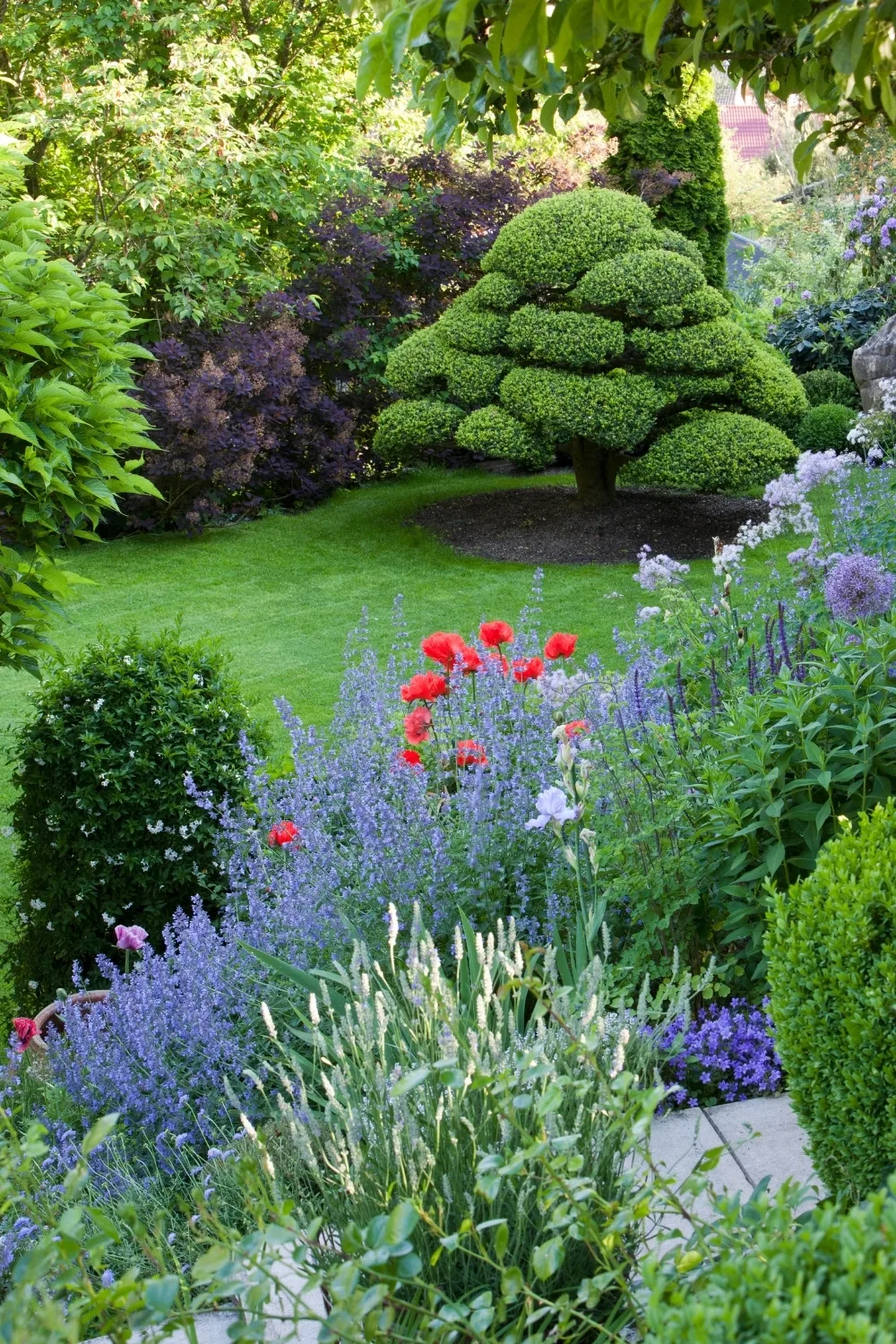 How to cloud prune | Better Homes & Gardens Australia