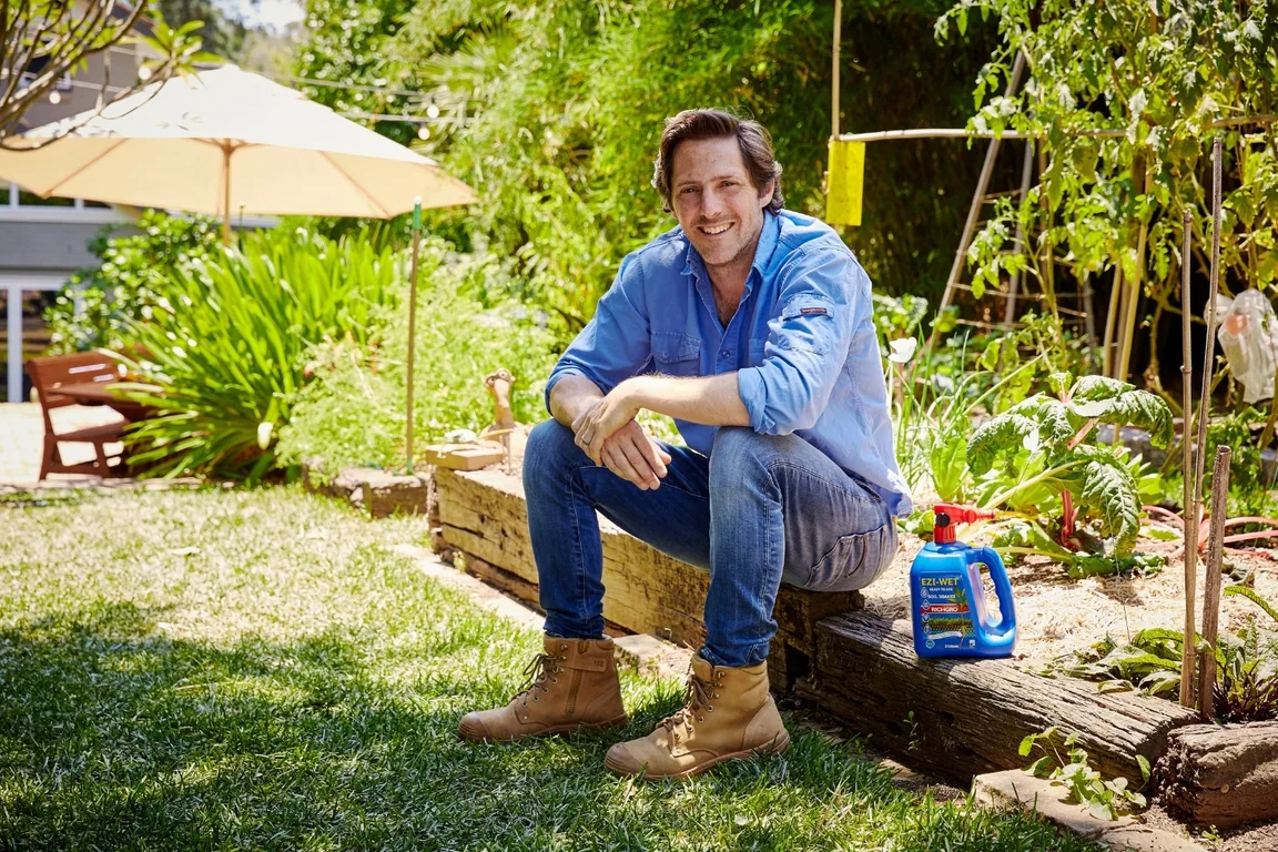 How to grow philodendrum xanadu | Better Homes & Gardens Australia