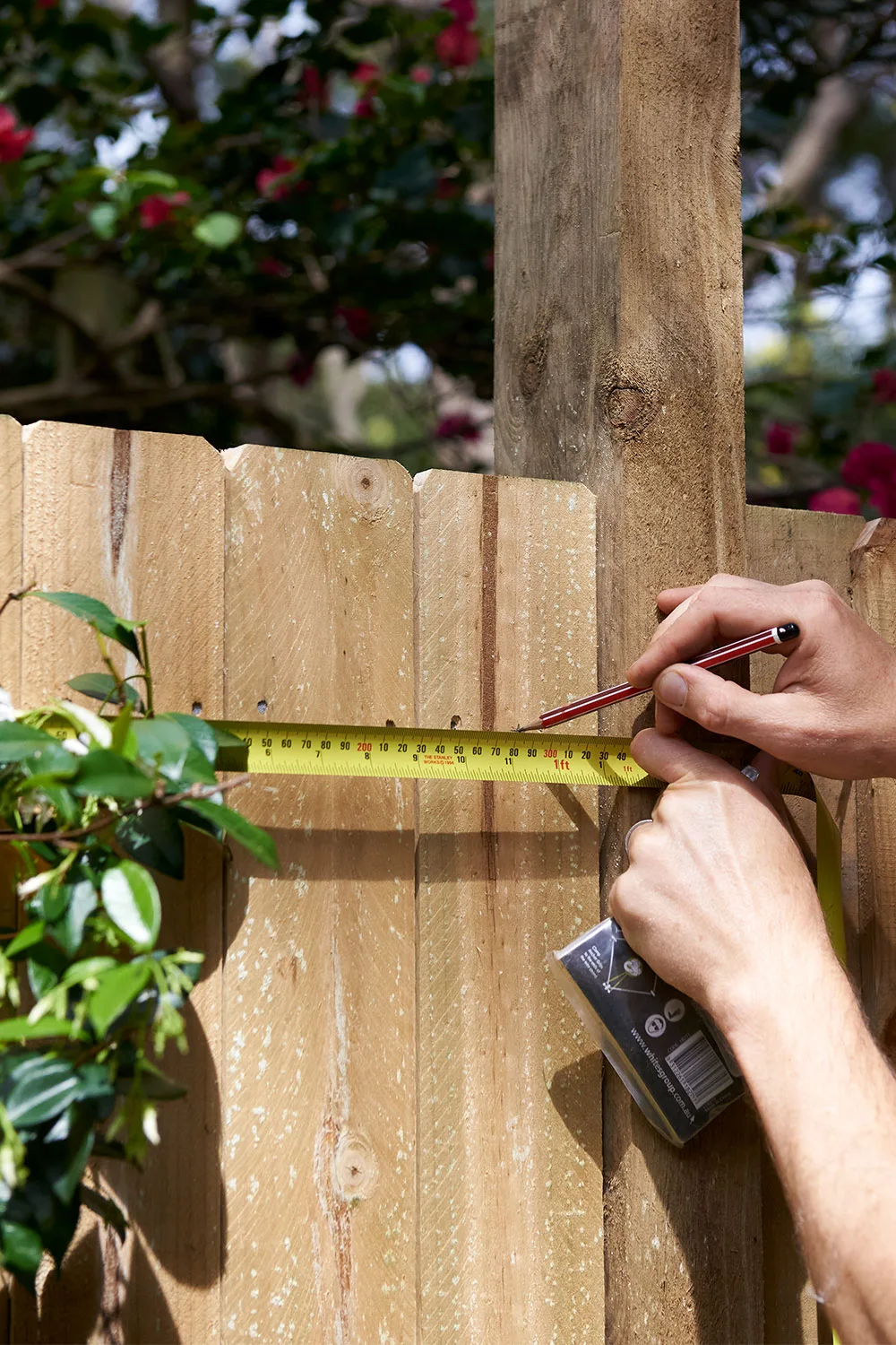 How to make a pretty wire trellis for your garden