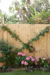 How to make a pretty wire trellis for your garden