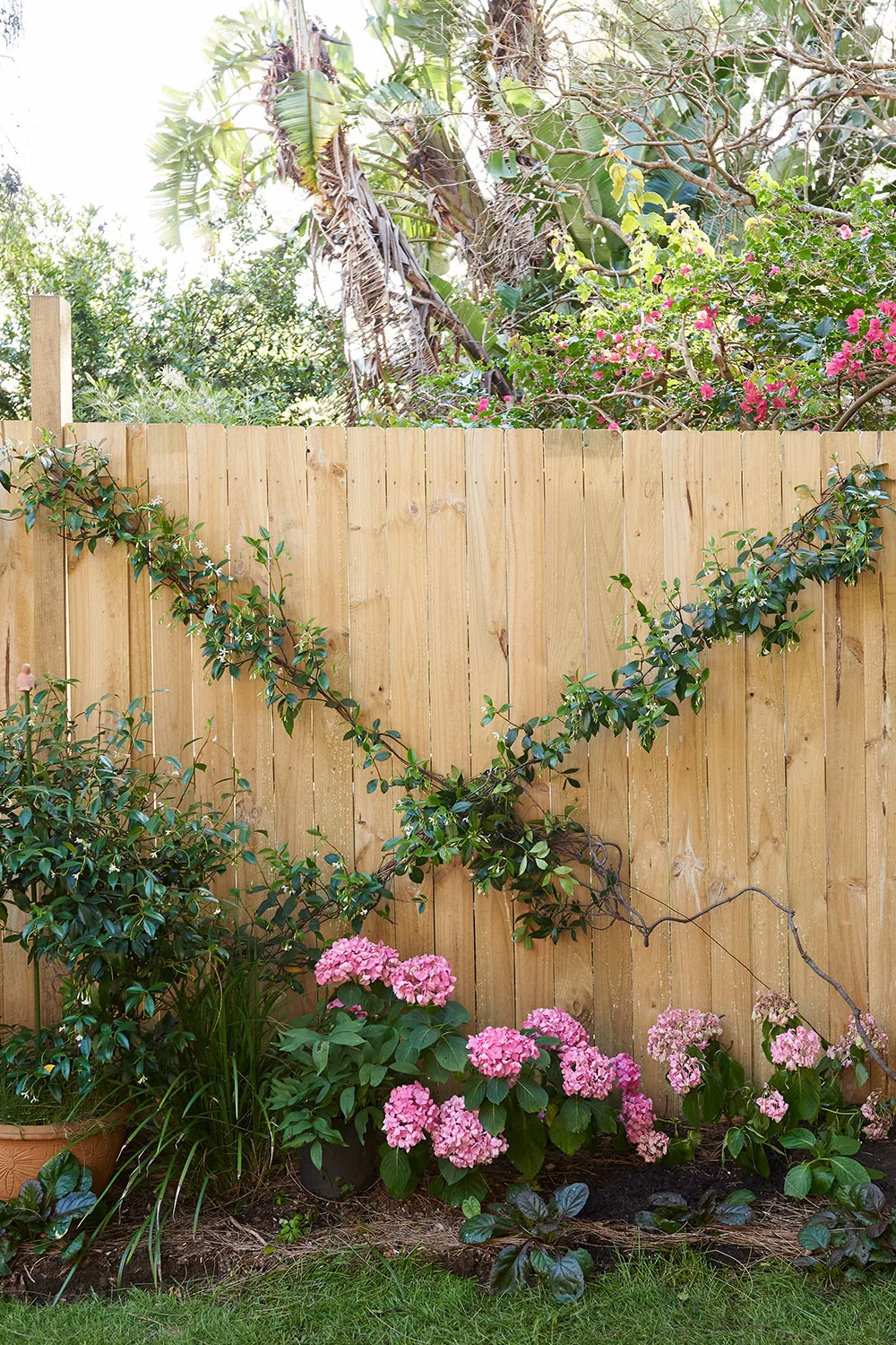 How to make a pretty wire trellis for your garden