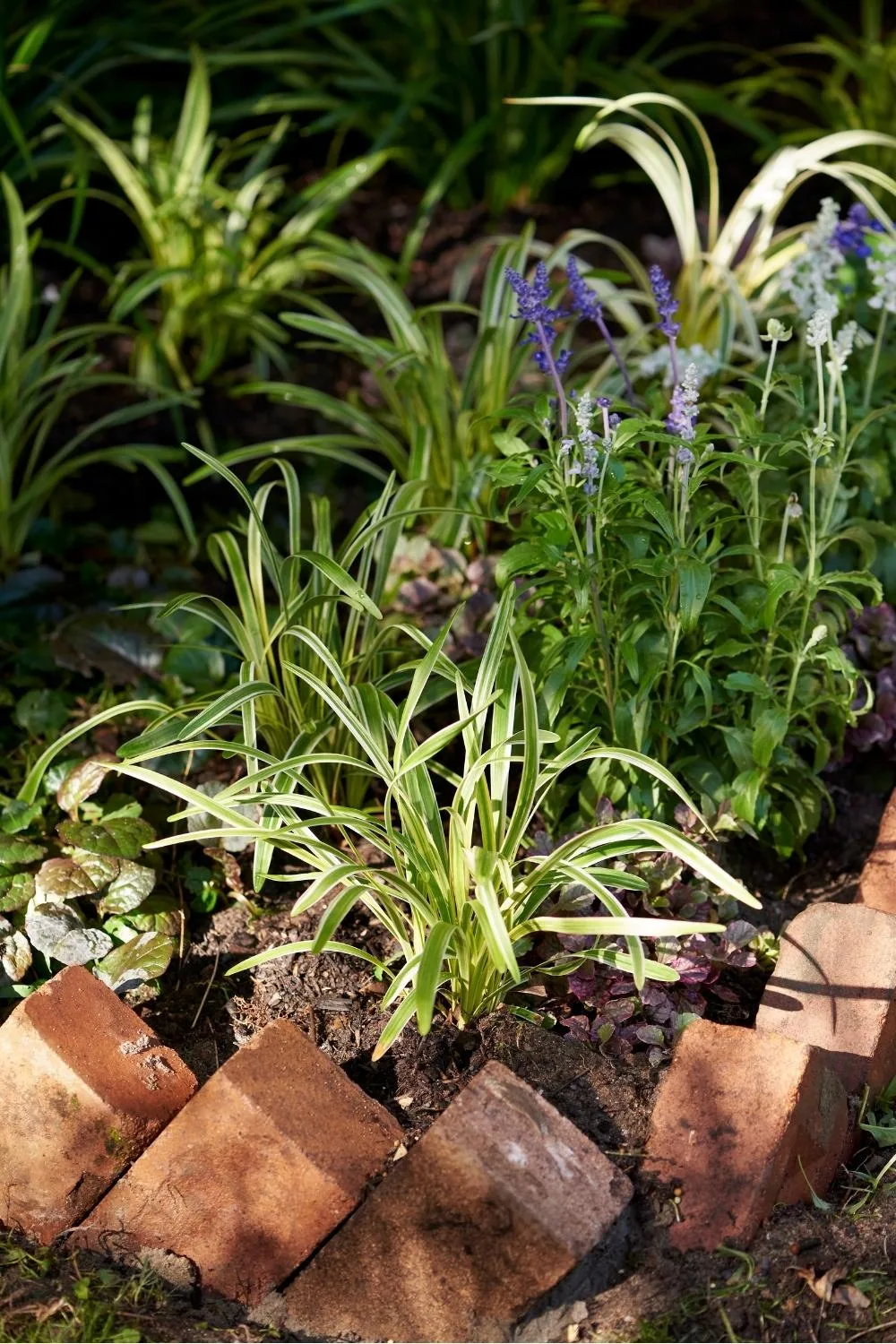 How to make saw-tooth brick garden edging