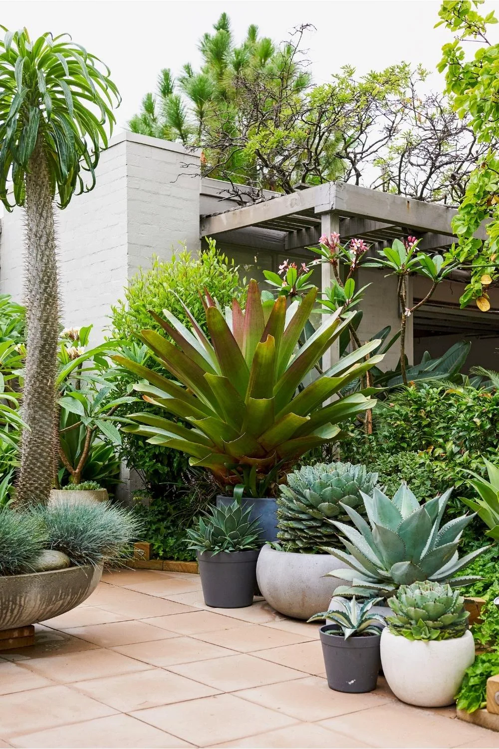 How to perfectly style pot plants in your garden