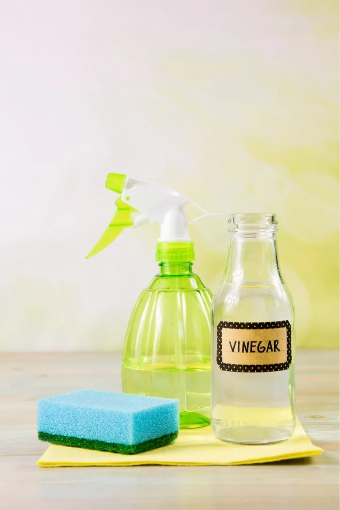 How to remove mould | Better Homes & Gardens Australia