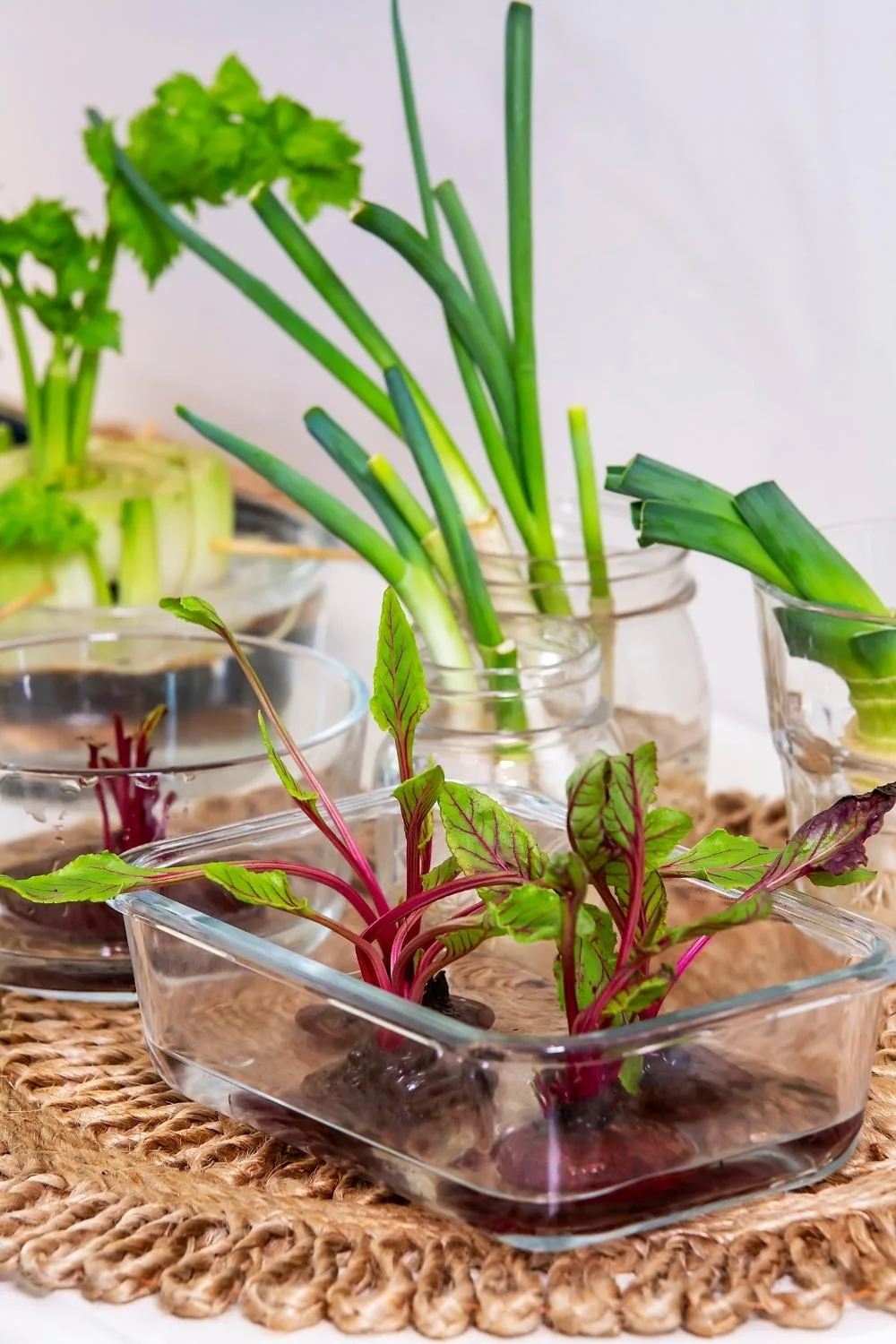 How to grow vegetables from scraps | Better Homes & Gardens Australia