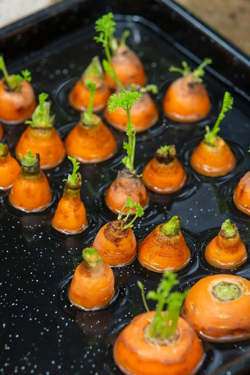 How to grow vegetables from scraps | Better Homes & Gardens Australia