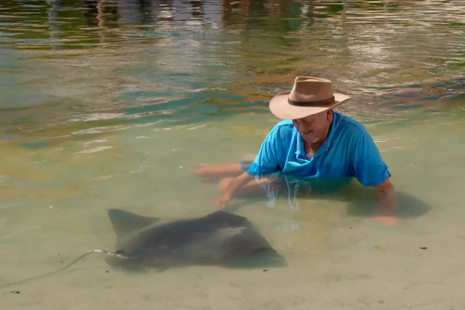 Dr. Harry Cooper, Author at Better Homes & Gardens Australia