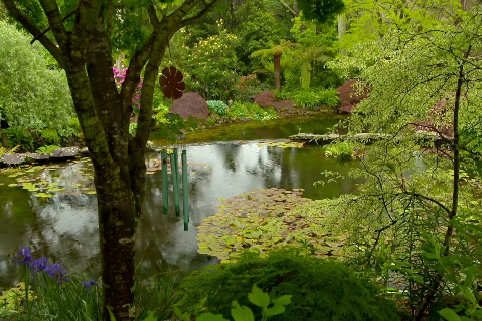 Graham visits Windyridge garden - Better Homes & Gardens Australia