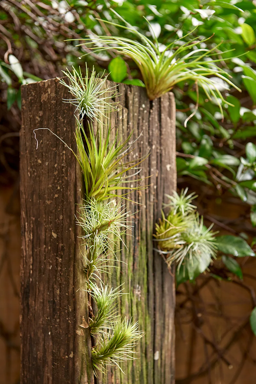 How to make rustic sleeper sculptures for your garden