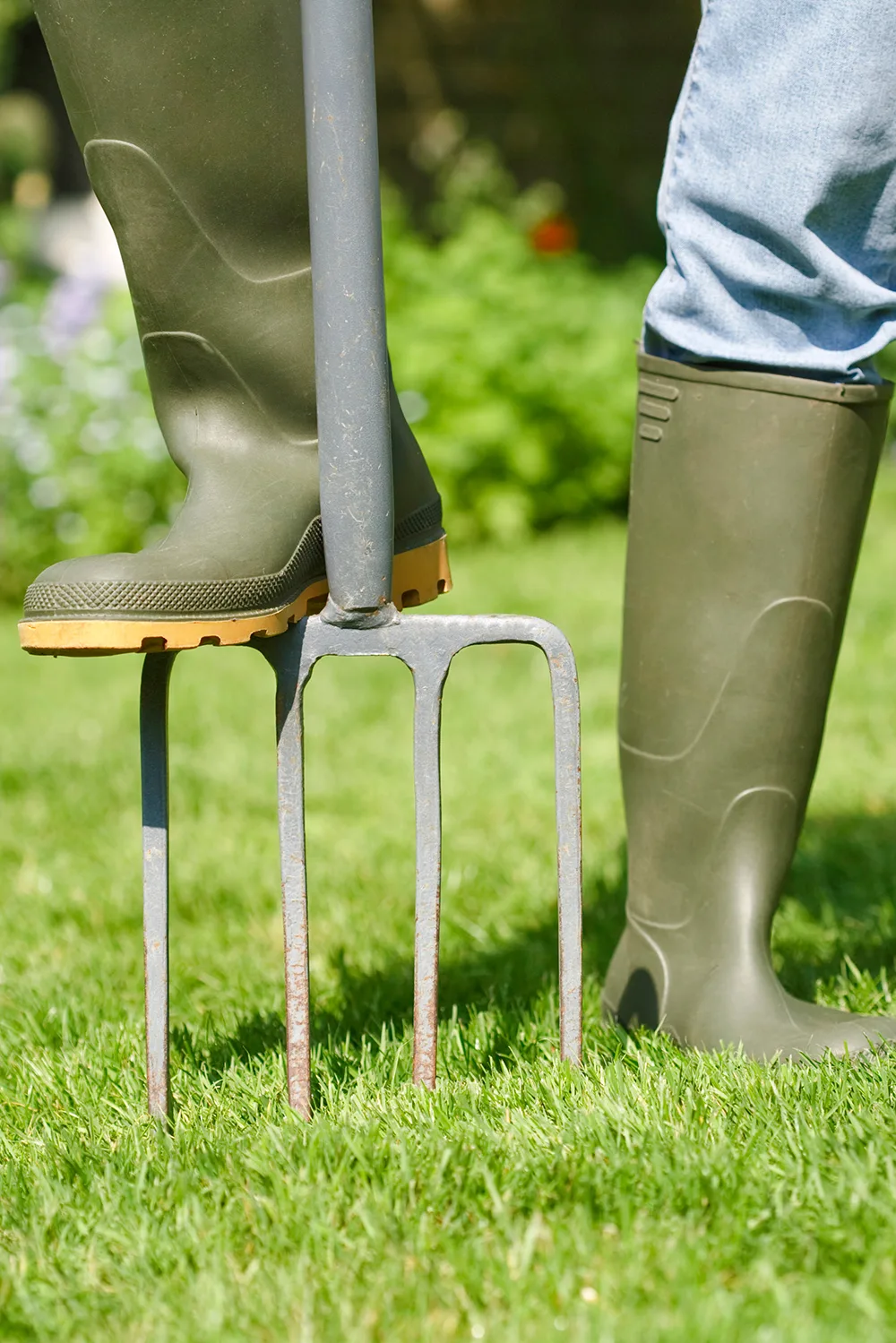How to get the perfect lawn all year around