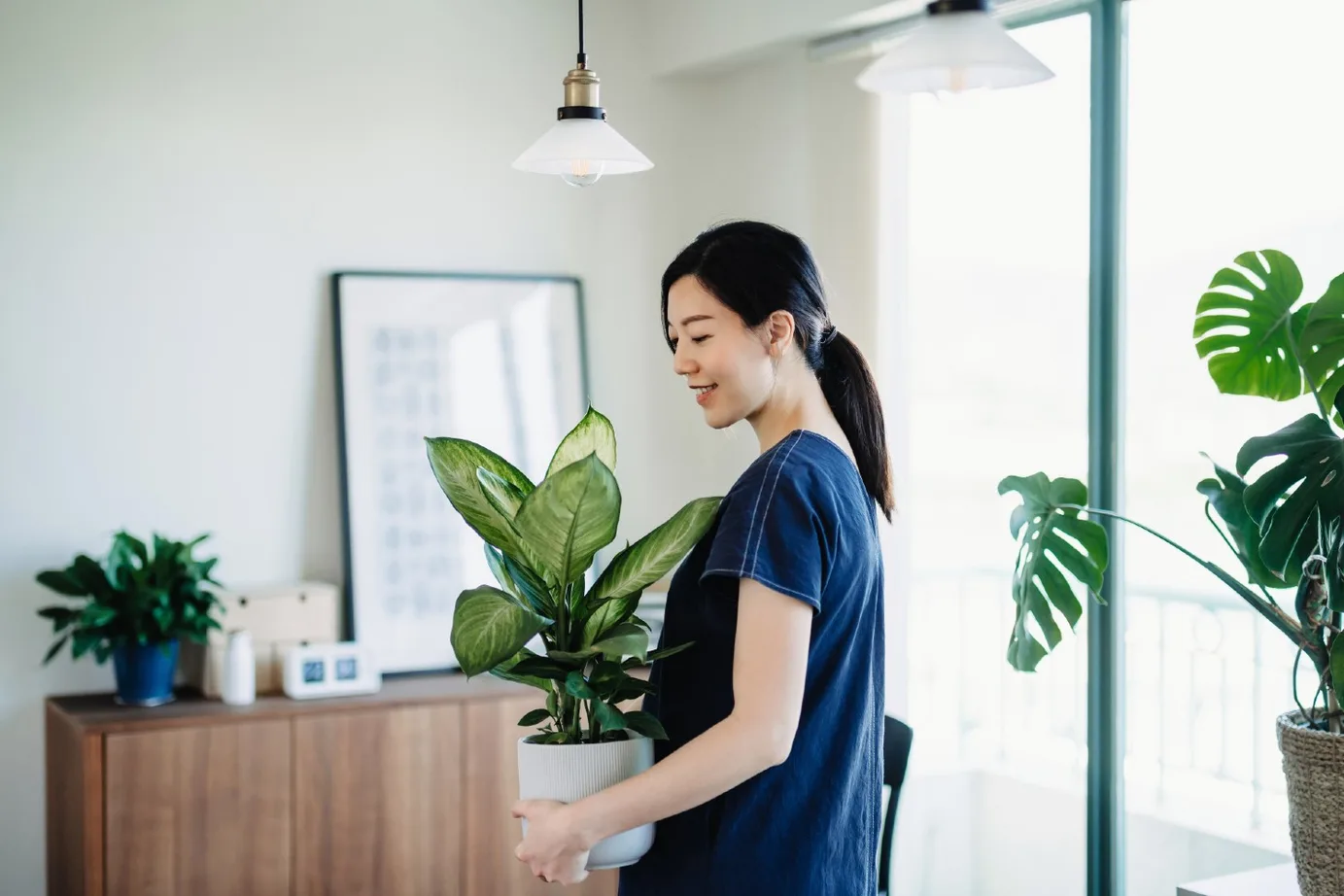 5 easy DIY ways to dehumidify your house