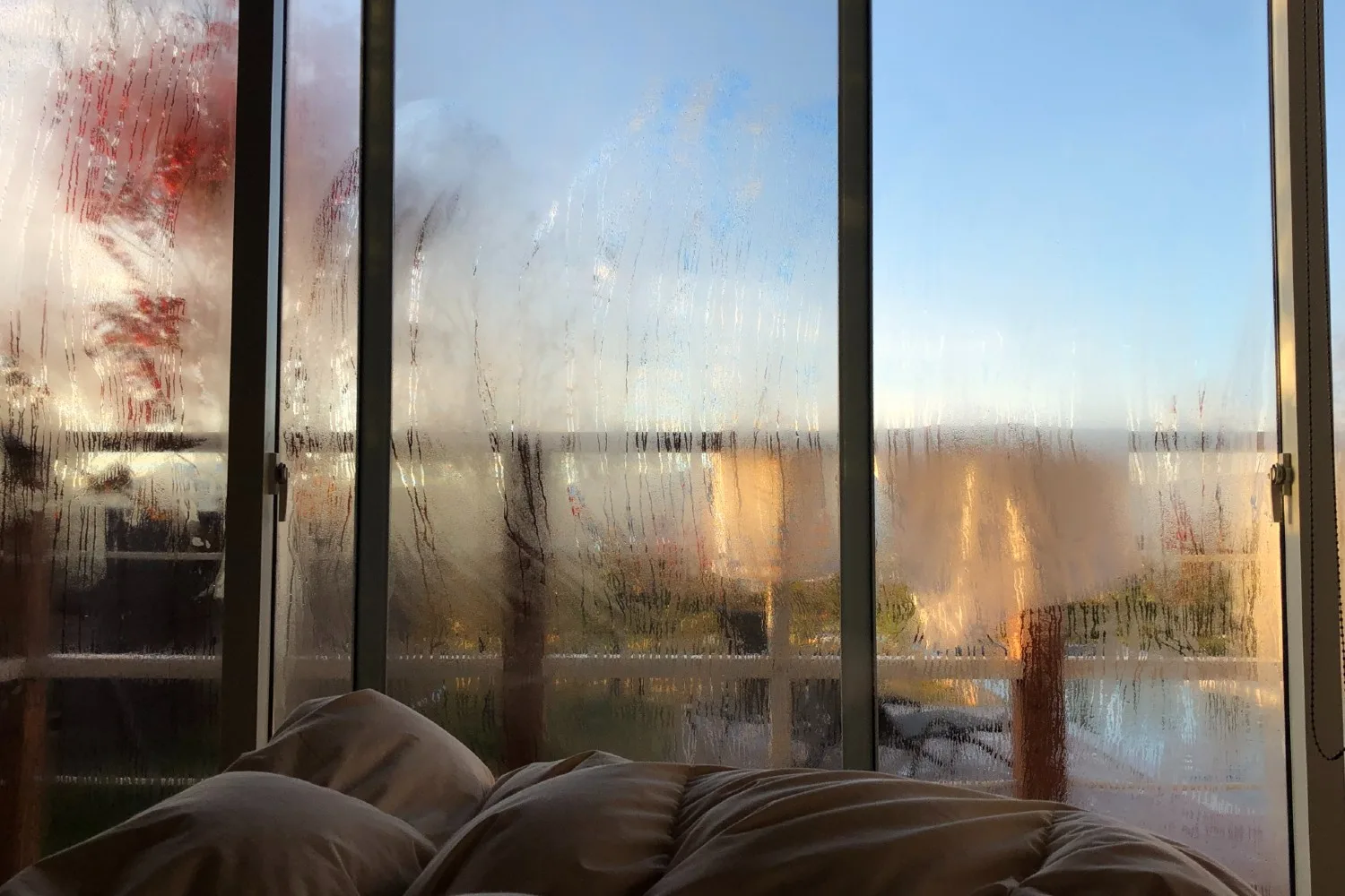 How to detect and remove invisible mould spores