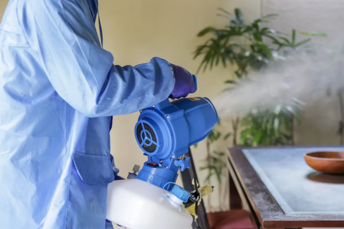 How to detect and remove invisible mould spores