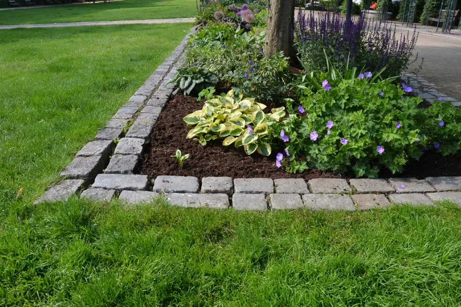 Garden Edging Ideas For A Sophisticated Garden
