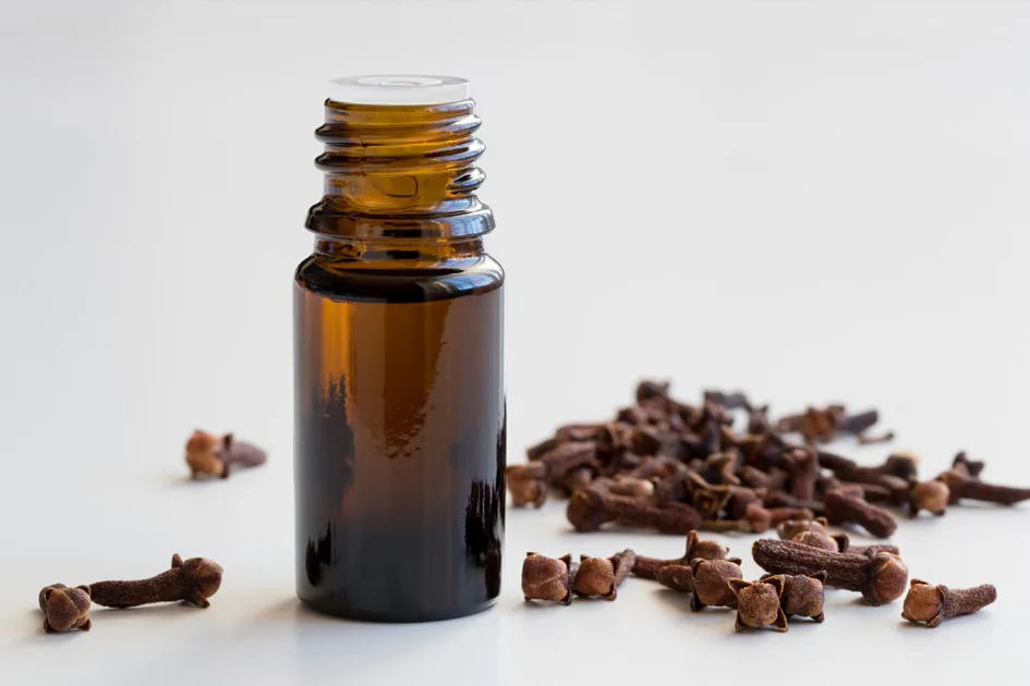 3 hacks to removing mould using clove oil