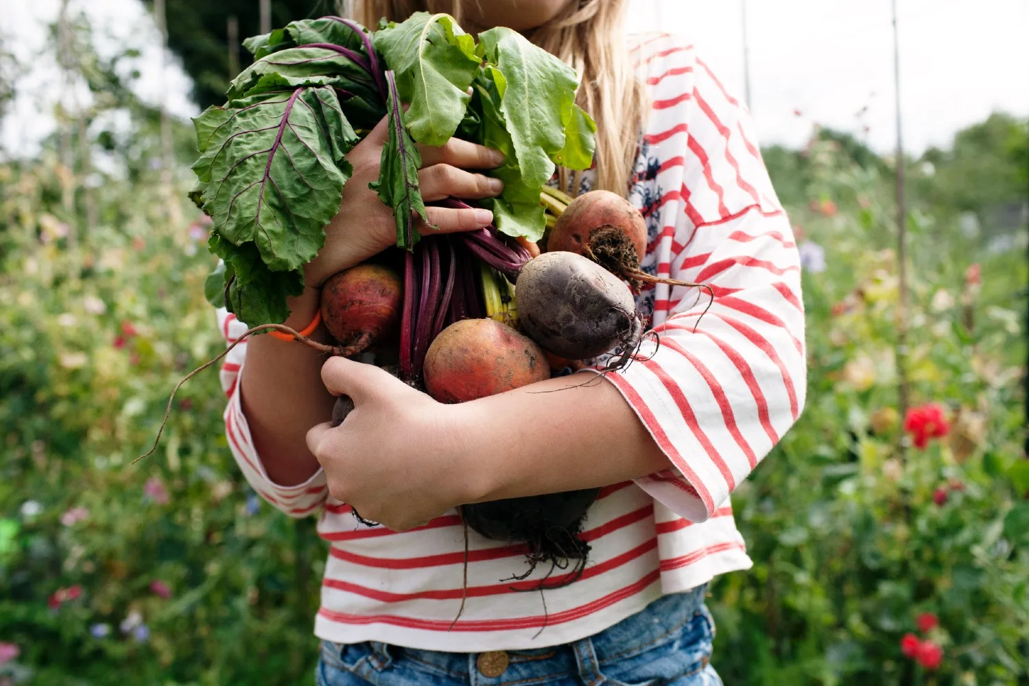 David Beckham's garden tour showcases his amazing vegie patch | Better ...