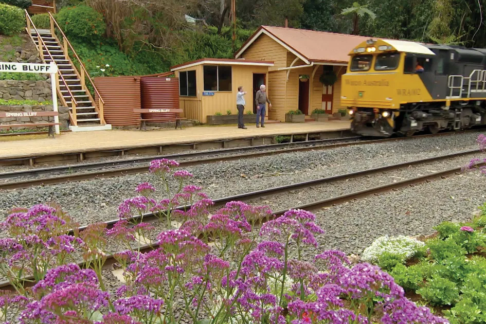 Spring Bluff Railway Station: a unique garden in an unexpected location ...