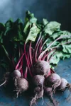 How to Grow Beetroot: Planting and Harvesting