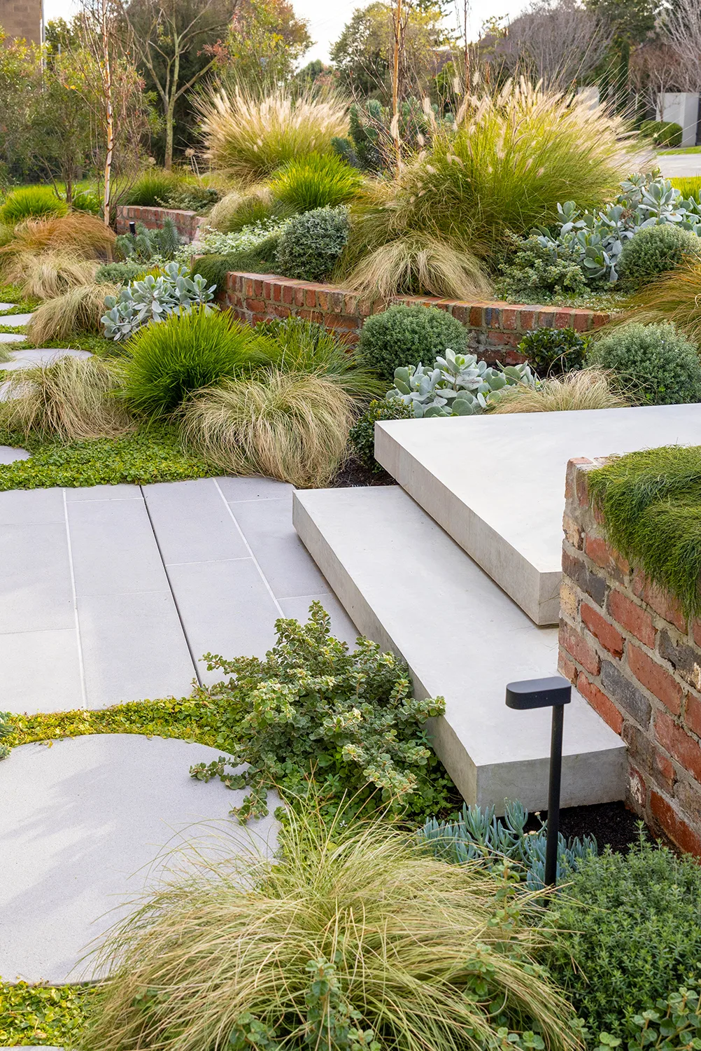 How to grow a coastal garden | Better Homes & Gardens Australia