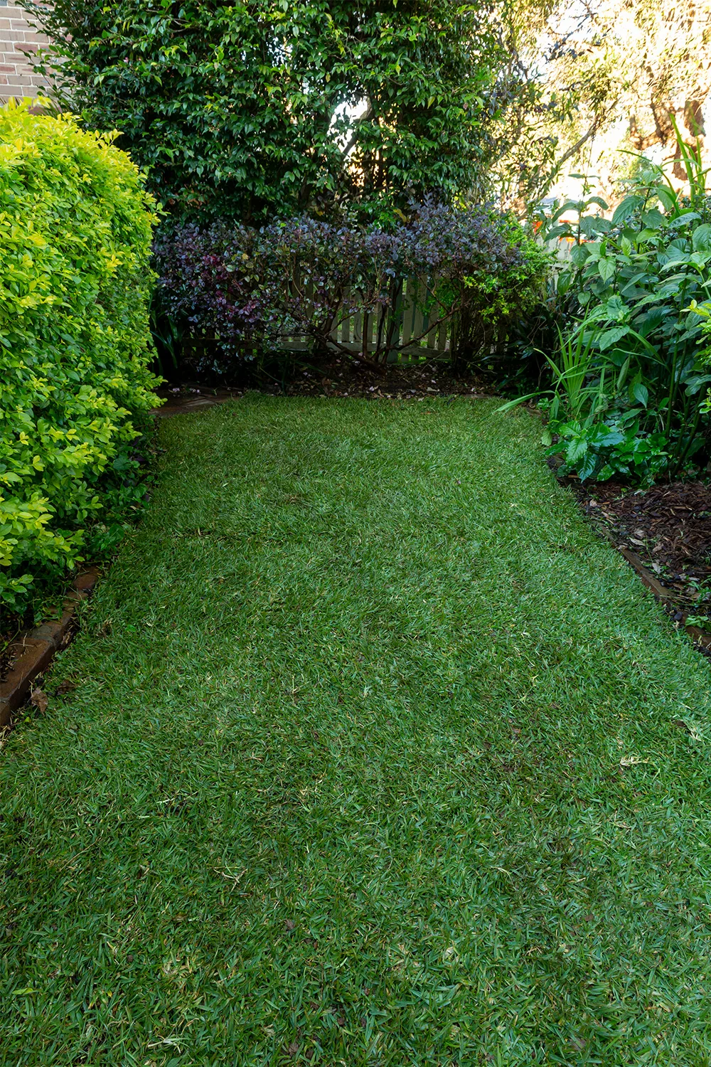 How to prevent a soggy lawn | Better Homes & Gardens Australia