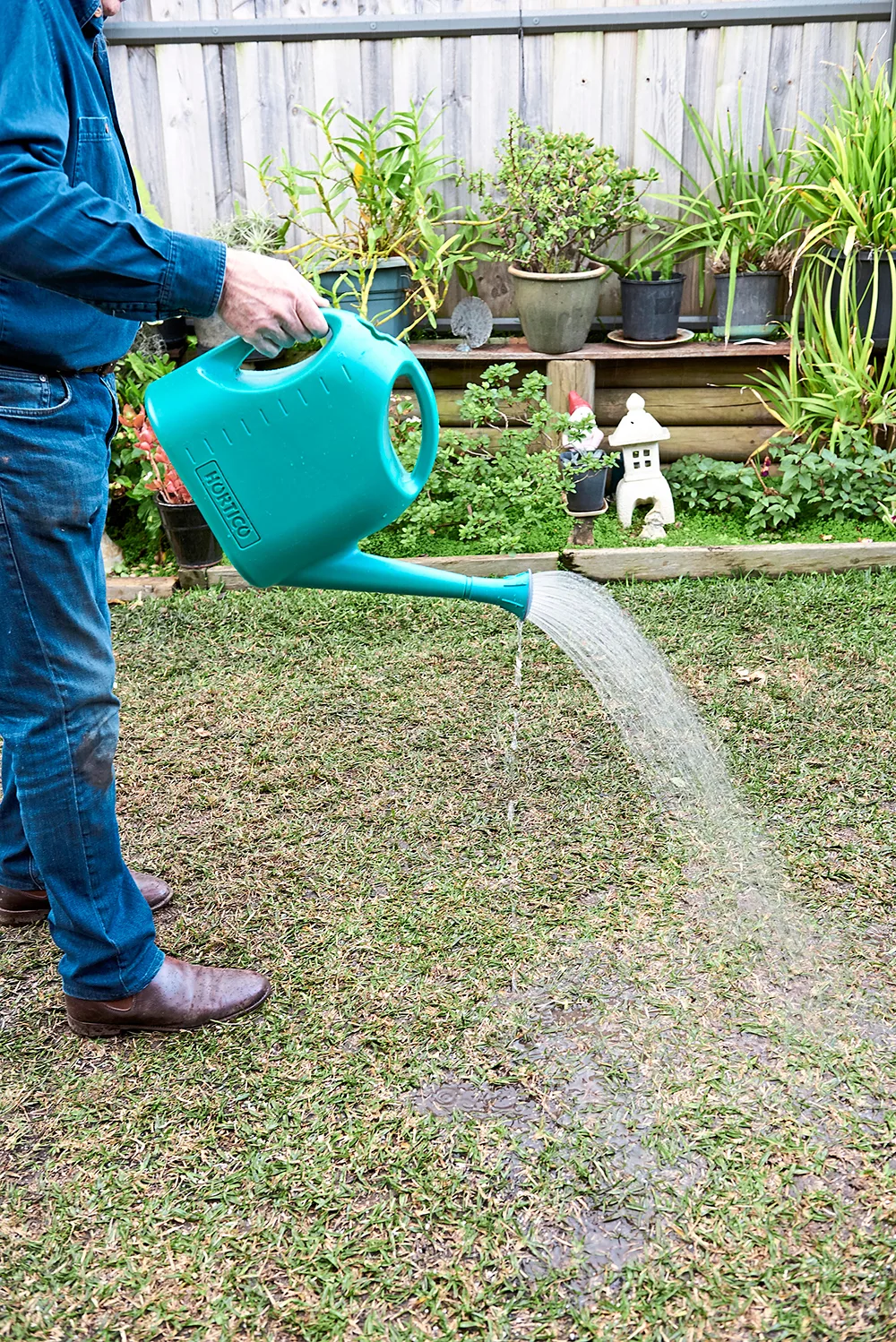 How to fix bare patches in lawn | Better Homes & Gardens Australia