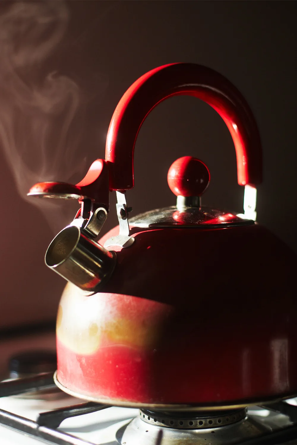 How to kill maggots | Better Homes & Gardens Australia