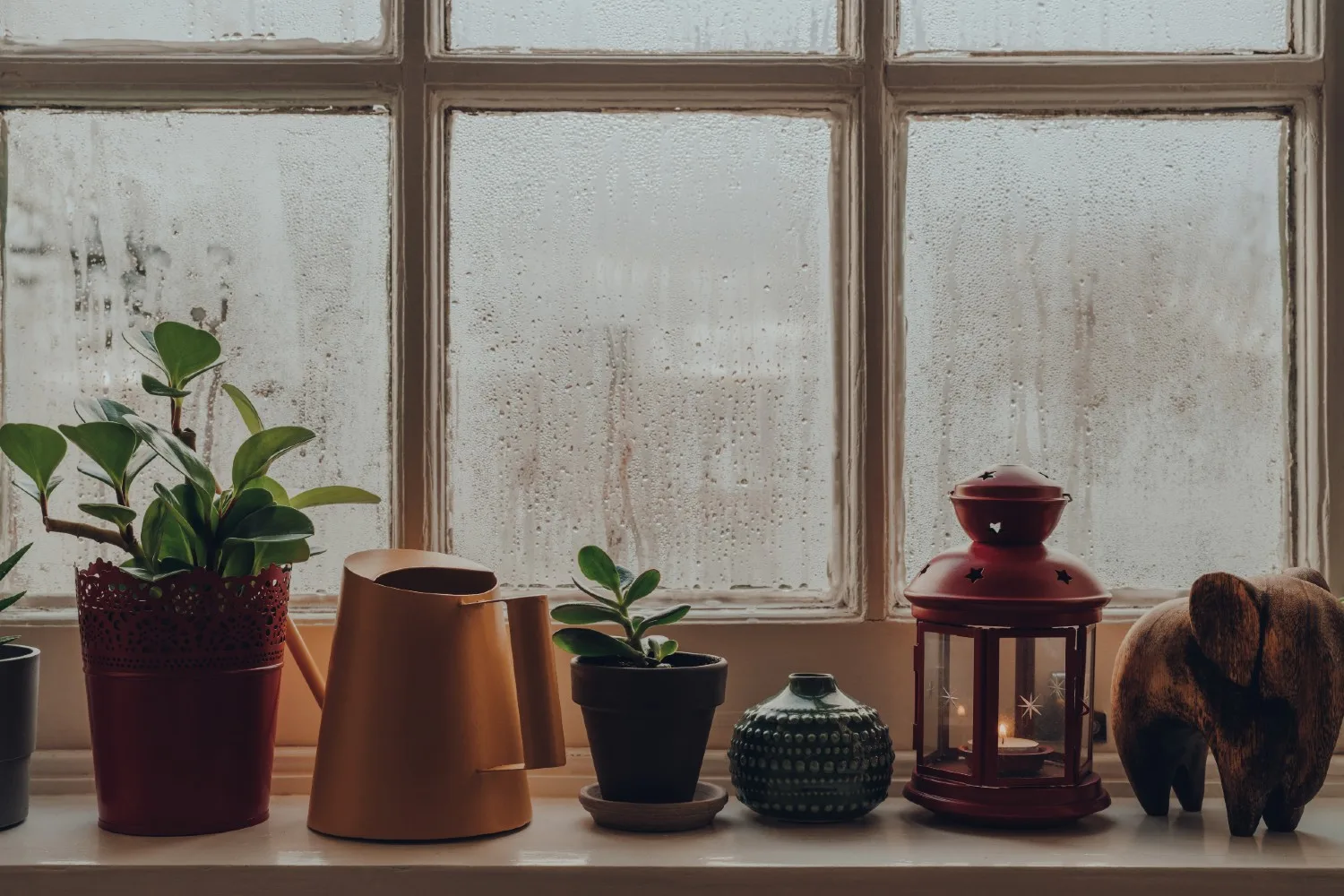 How to get rid of musty smells in your home