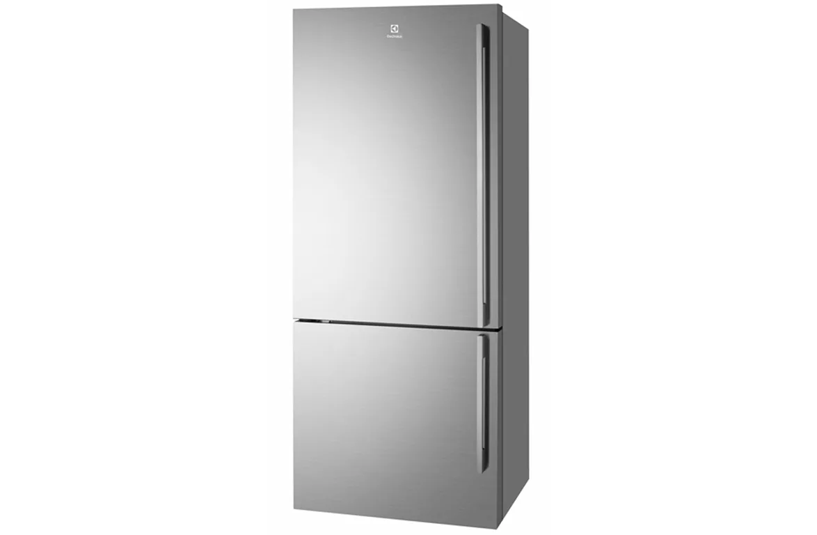 7 Best Bottom Mount Fridges For Maximum Freezer Storage