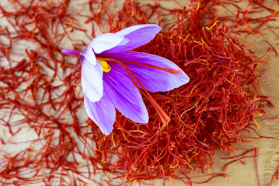 How To Grow Saffron | Better Homes & Gardens Australia