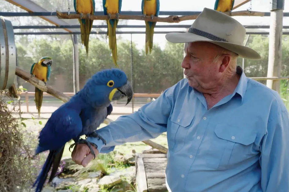 Dr Harry Visits Zambi Wildlife Retreat | Better Homes & Gardens Australia