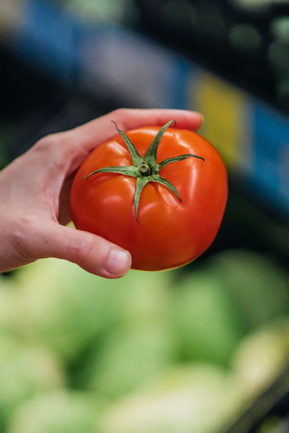 How To Store Tomatoes For The Best Flavour And Quality