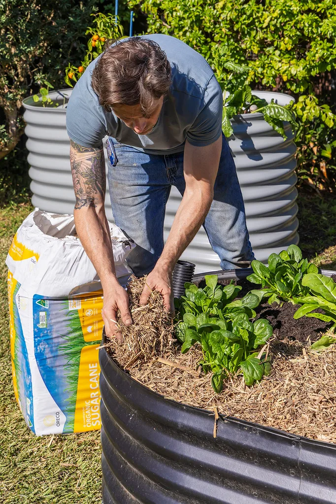 Wicking Beds: How To Make A Wicking Garden Bed